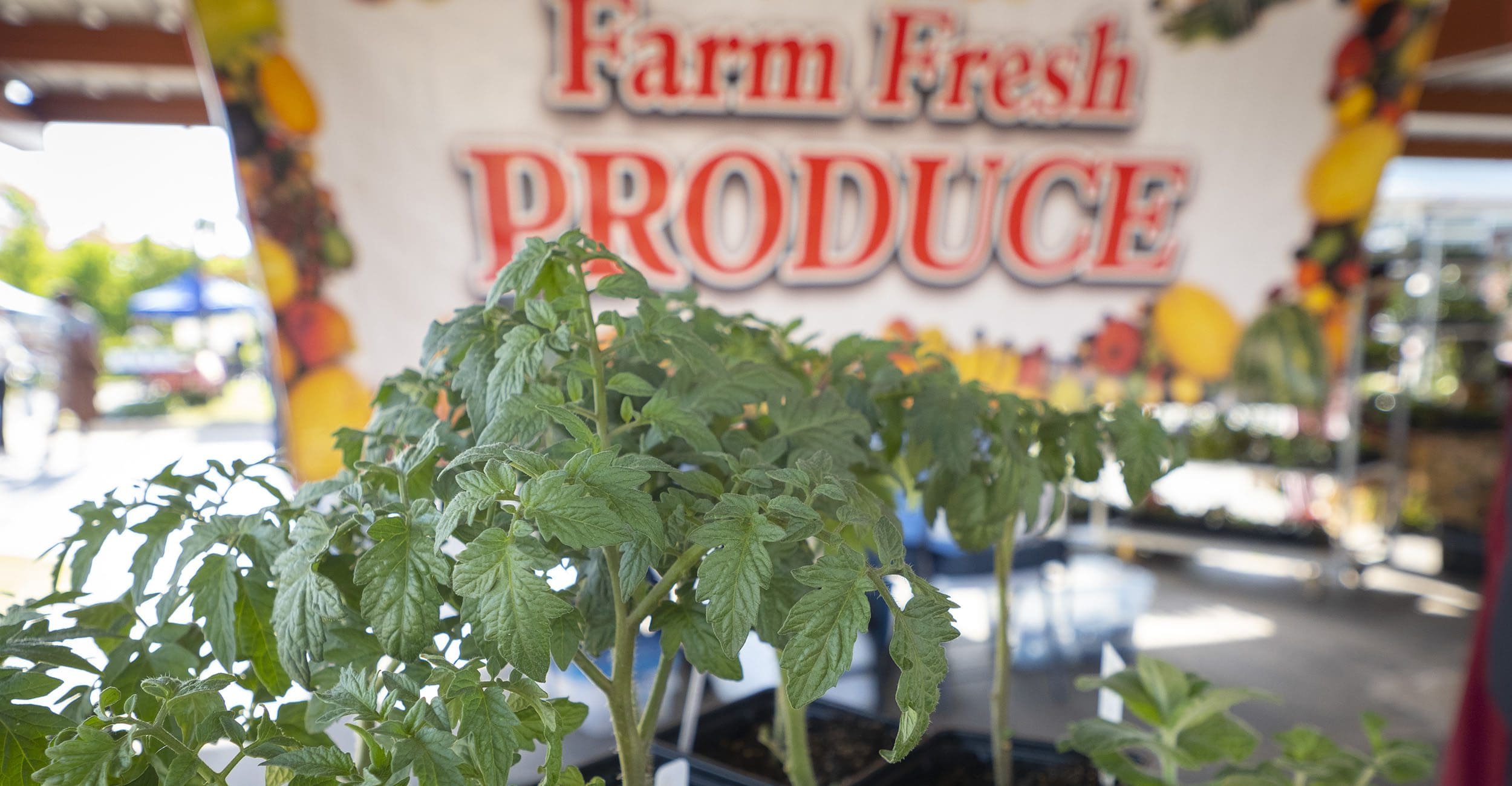 OSU Extension Awarded Funding to Add Native American Educator Roles ...