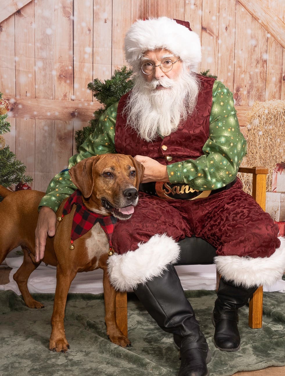 Salina Animal Shelter Not Accepting Strays/Surrenders | KCLY Radio