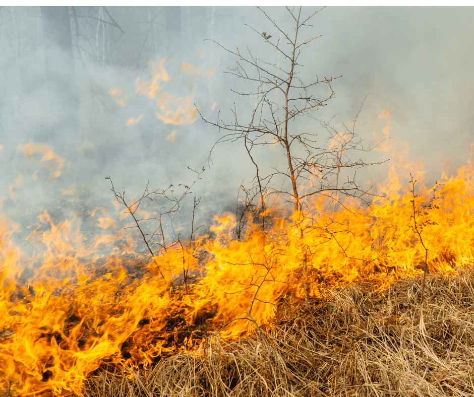 Kansas Wildfire Awareness Week Begins Feb 12 | KCLY Radio