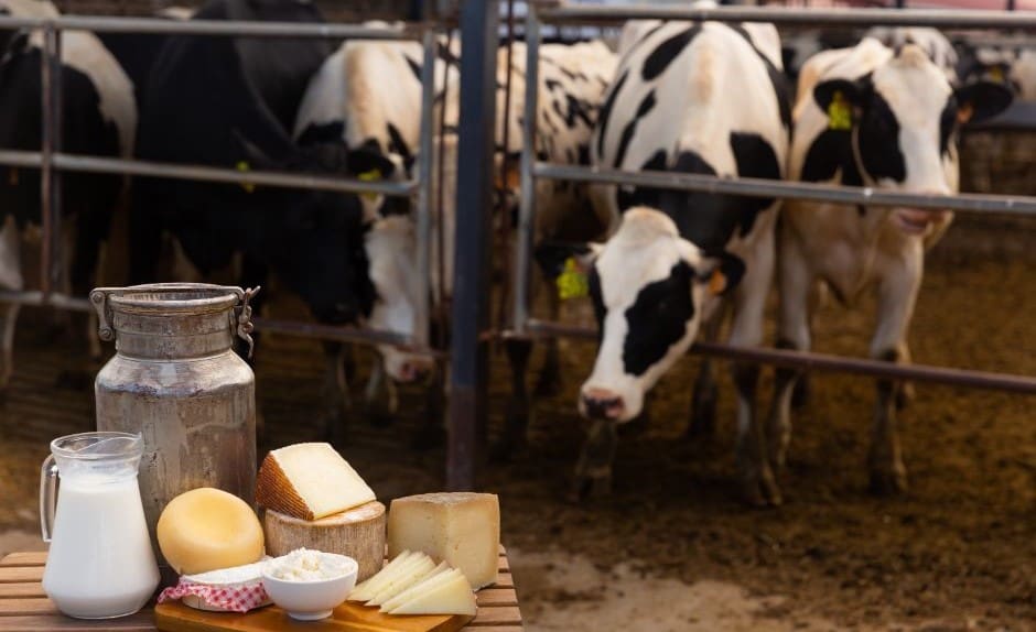 The Kansas Department of Agriculture and Dairy Industry Unite Against ...
