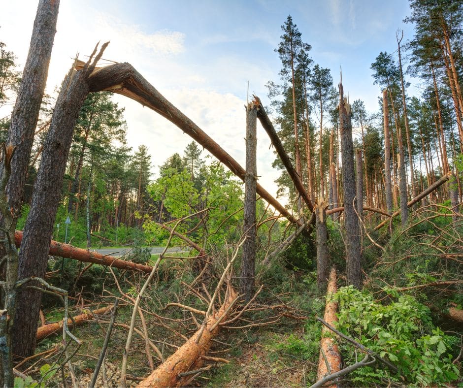 Geary County Emergency Management and United Way are Asking Residents ...