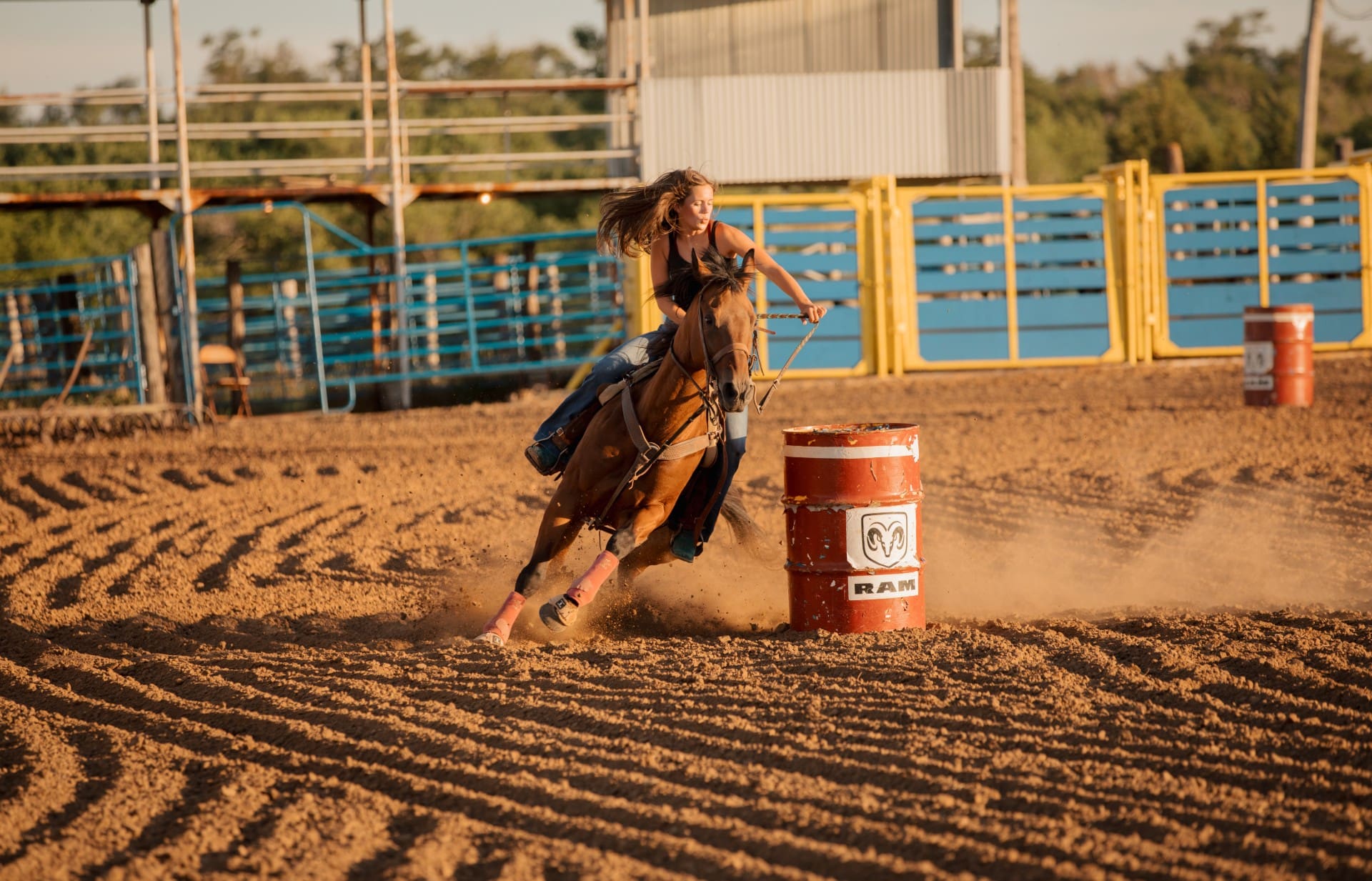 Longford Rodeo Holding Competition to Select Exhibition Barrel Racers ...