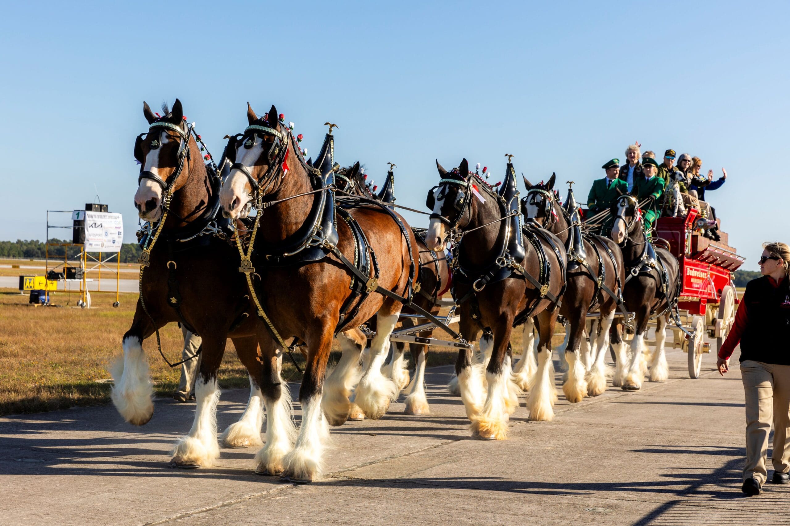 2024 Frontiers in Flight: Budweiser Clydesdales and Folds of Honor Join ...