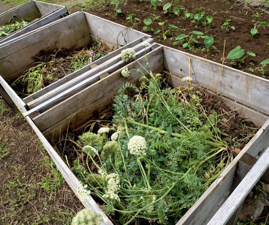 KS State Expert Offers Essential Composting Tips for Beginners ...