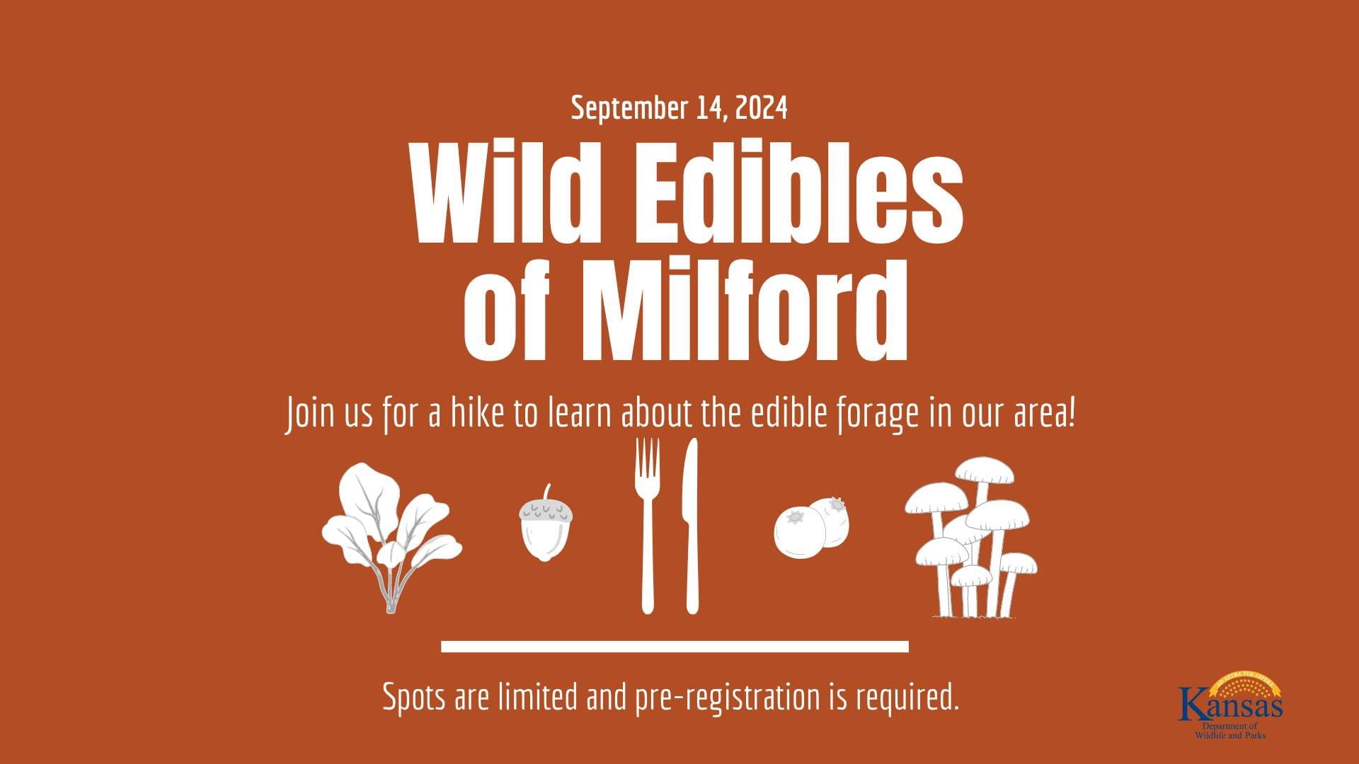 Learn about the “Wild Edibles of Milford” during KDWP’s Foraging Hike ...