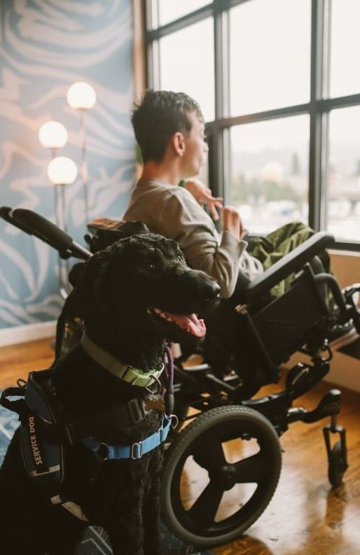 Senators Moran and Tester Introduce National Service Dog Day to Honor ...