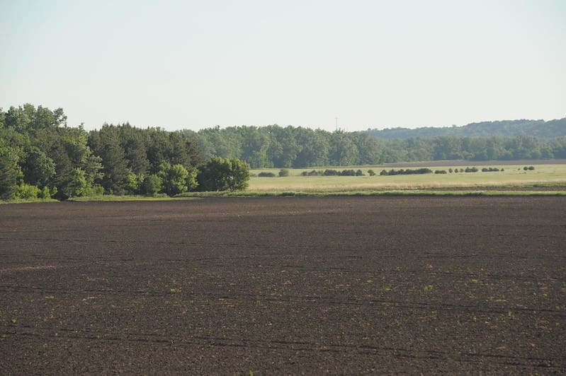 Optimal Winter Wheat Planting Dates Vary by Region and Goals, Experts ...