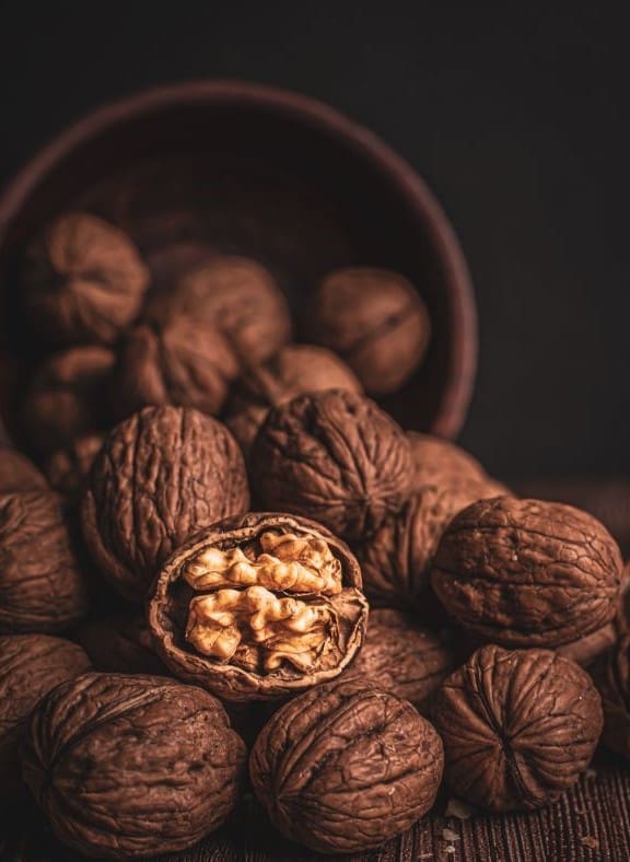 Harvesting Black Walnuts: A Guide for Homeowners to Successfully Gather ...