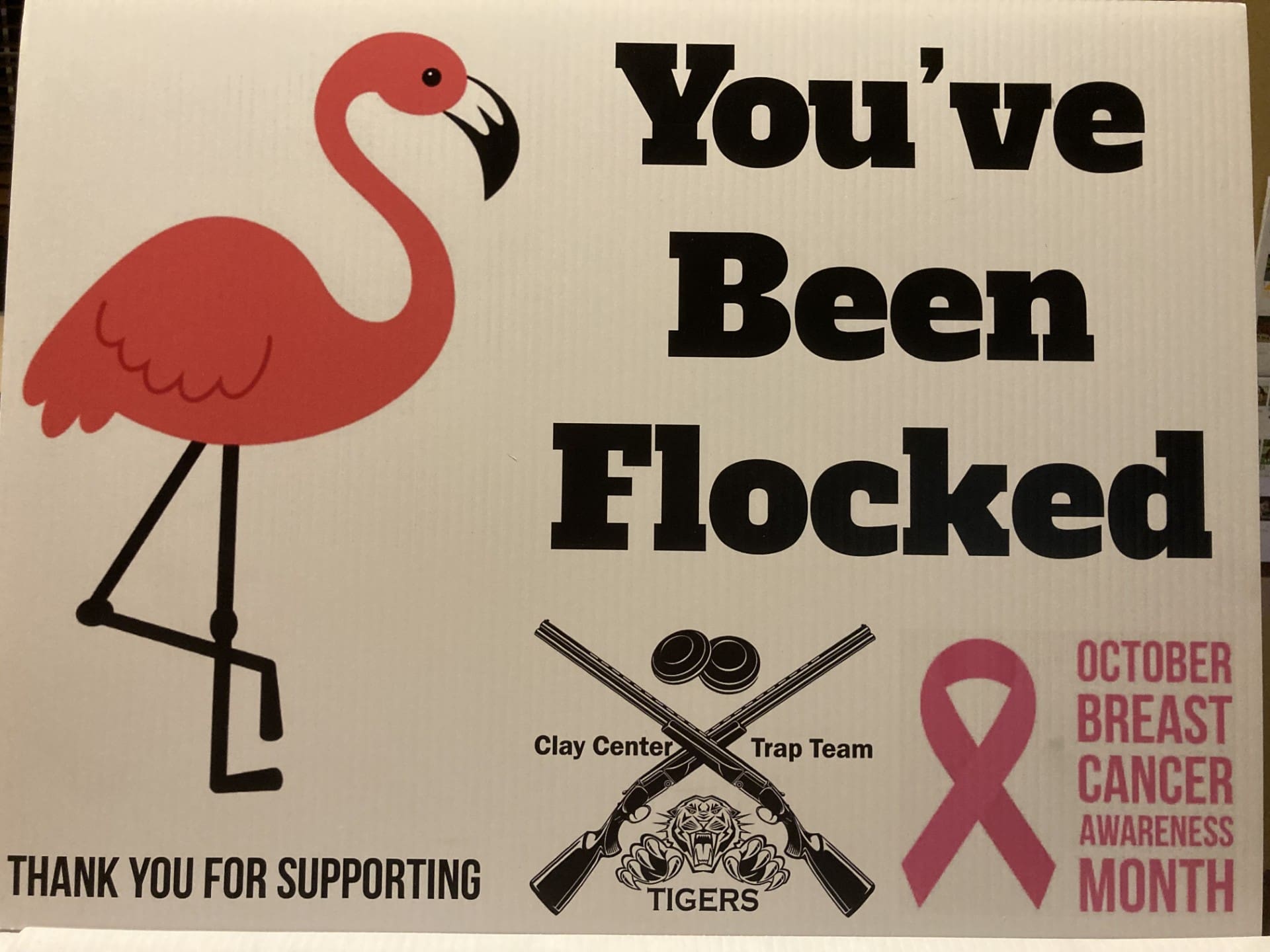 Add a Display of Pink Flamingos to a Friend’s Yard this Month During ...