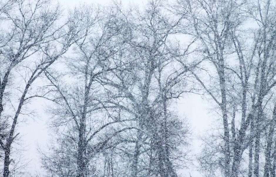 Winter Storm Blair Brings Heavy Snow and Ice, Disrupting Travel and ...