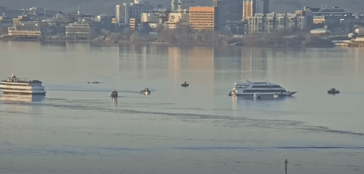 67 Presumed Dead in Mid-Air Collision Over Potomac River, Search Shifts to Recovery | KCLY Radio