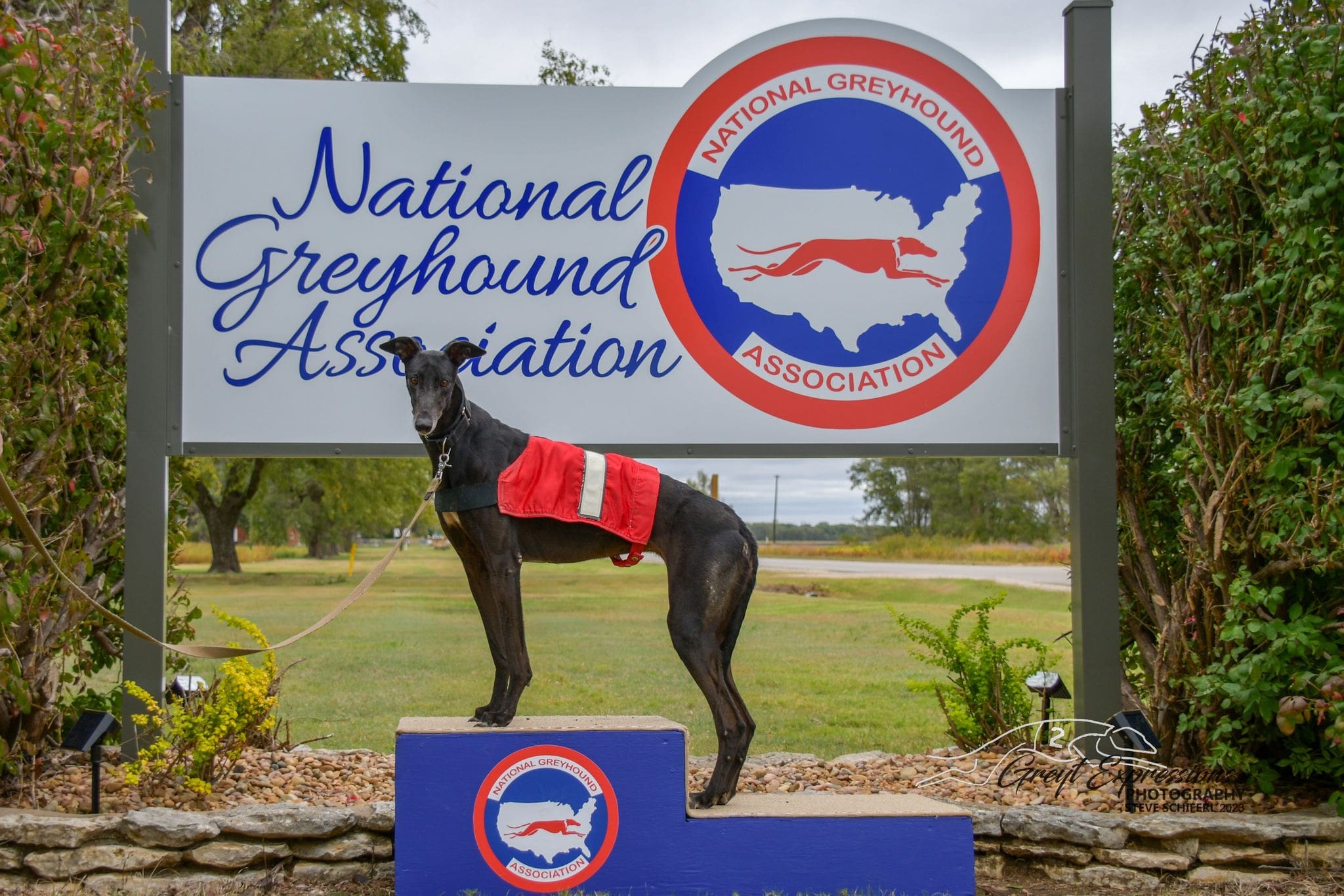 National Greyhound Association 2025 Spring Nationals Set for Mid-April ...