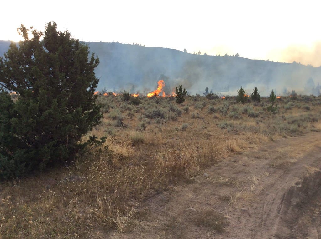 New Kansas Law Allows Wildfire Damage Claims, Aims to Boost Utility ...