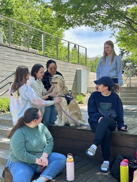 Therapy Dog Oakley Joins K-State’s Morrison Family Center to Bring ...