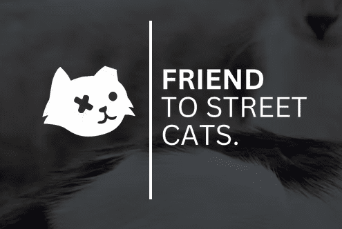 Emporia’s Street Cats Club Turns Stray Cats into Community Success ...